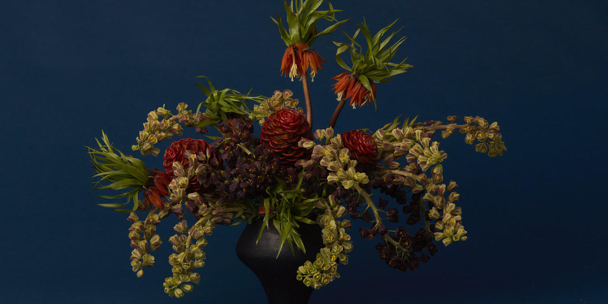 Learn More about the Orgasm: What are the benefits of achieving one?– Vespertine Boutique