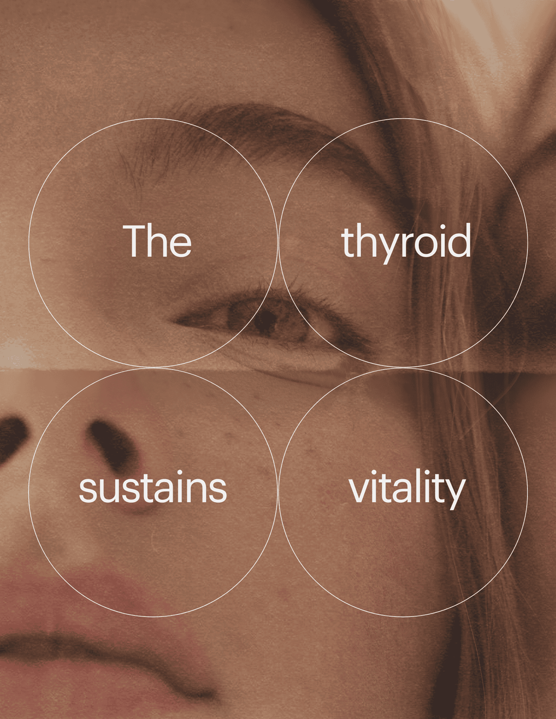Grass Fed Glandular Desiccated Thyroid 65mg Supplement– Vespertine Boutique
