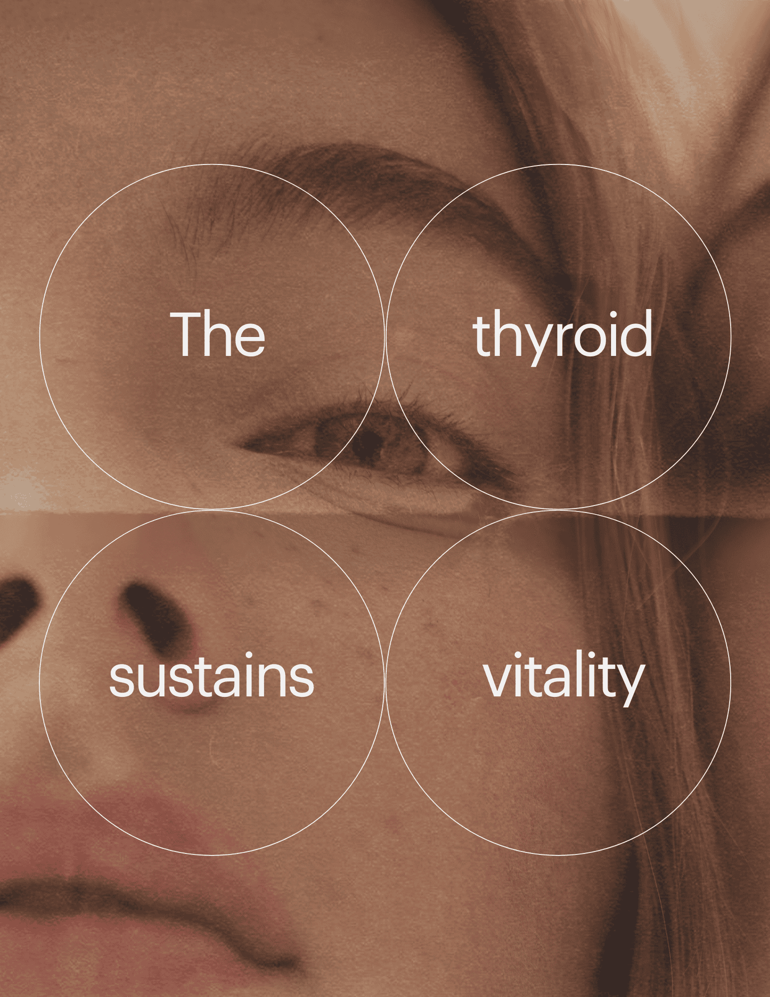 Grass Fed Glandular Desiccated Thyroid 65mg Supplement– Vespertine Boutique